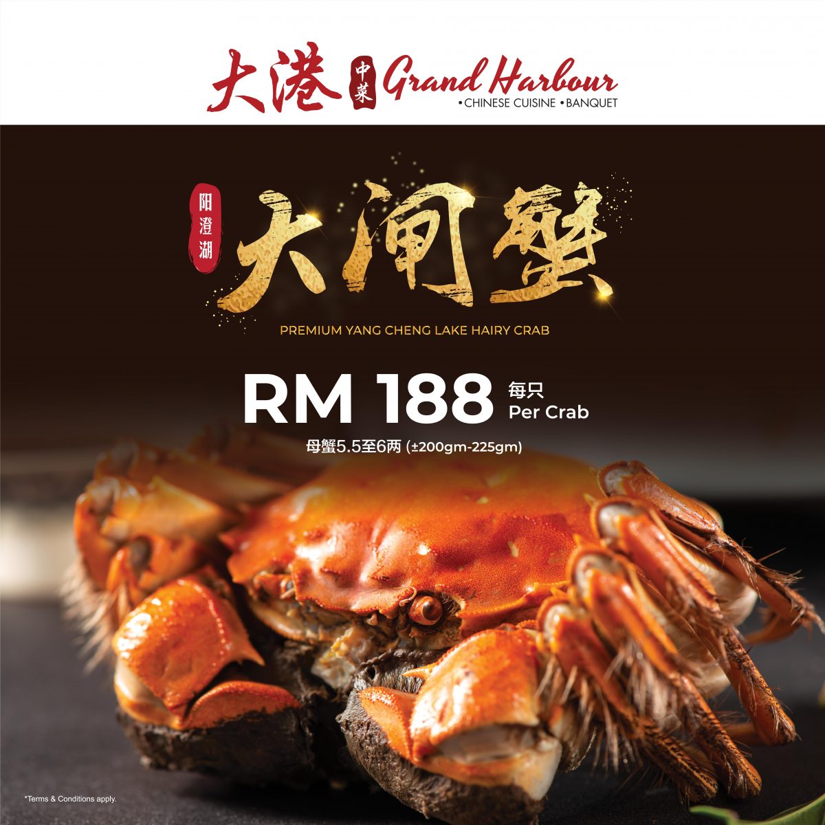 Grand Harbour Hairy Crab Promotion | GRAND HARBOUR